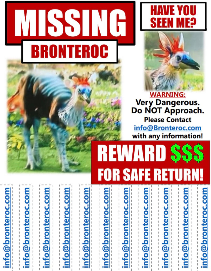 Bronteroc.com (WTF is a Bronteroc?!?) – The WHATEVER Network!