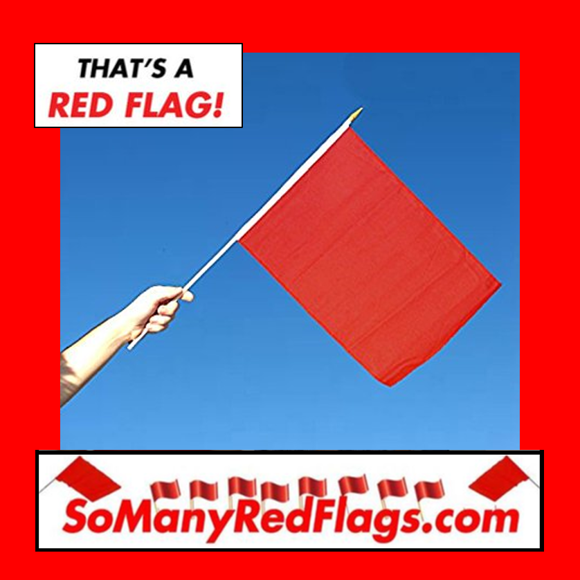 Don't Ignore RELATIONSHIP RED FLAGS! (Red Flag Reminders!) – The ...